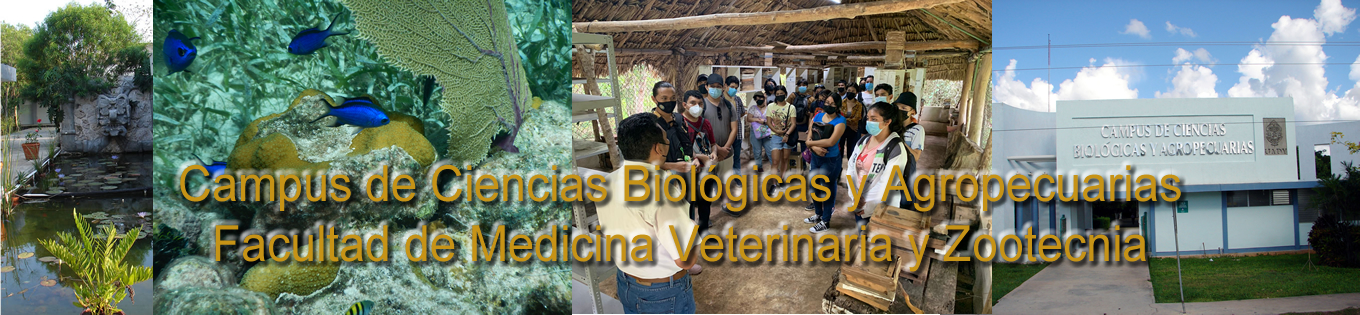 Facultad de Medicina Veterinaria y Zootecnia