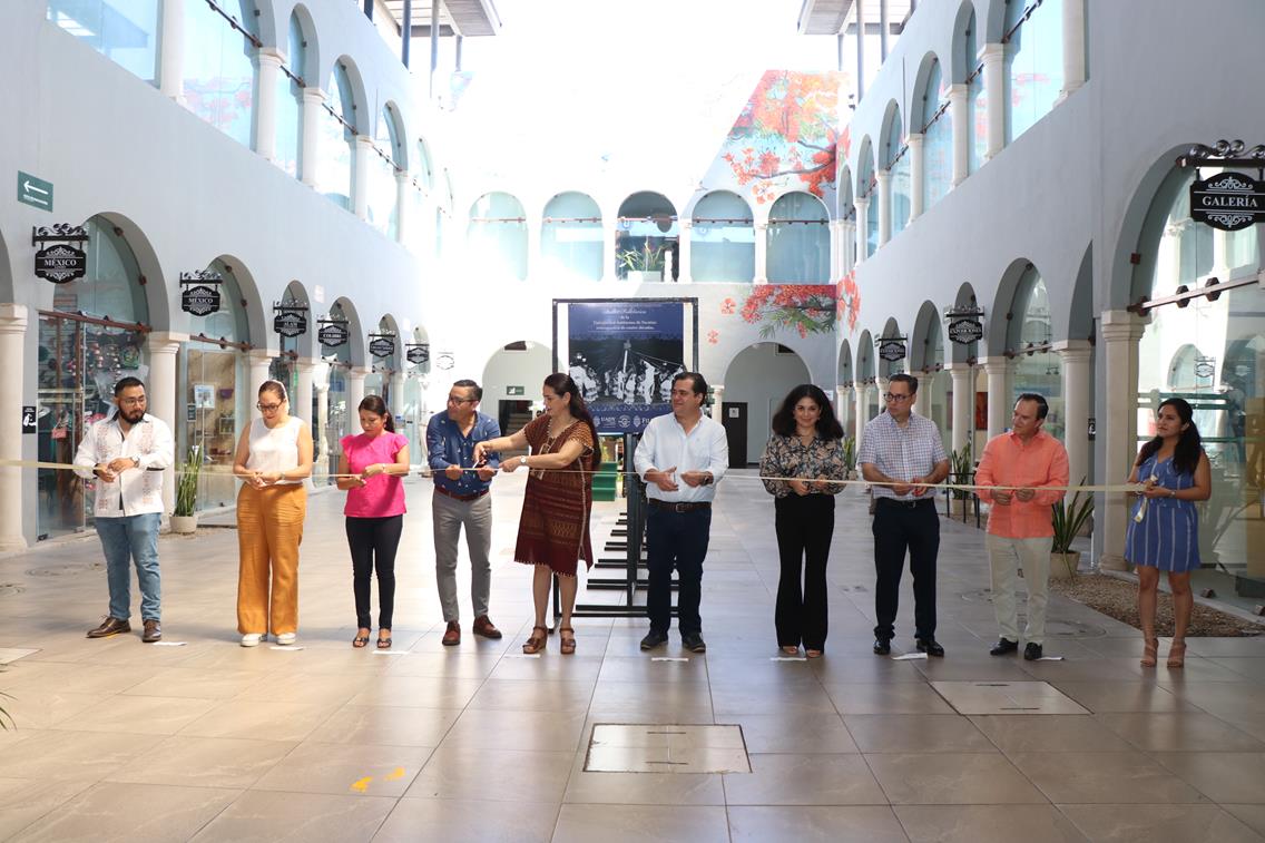 Universidad Autónoma de Yucatán