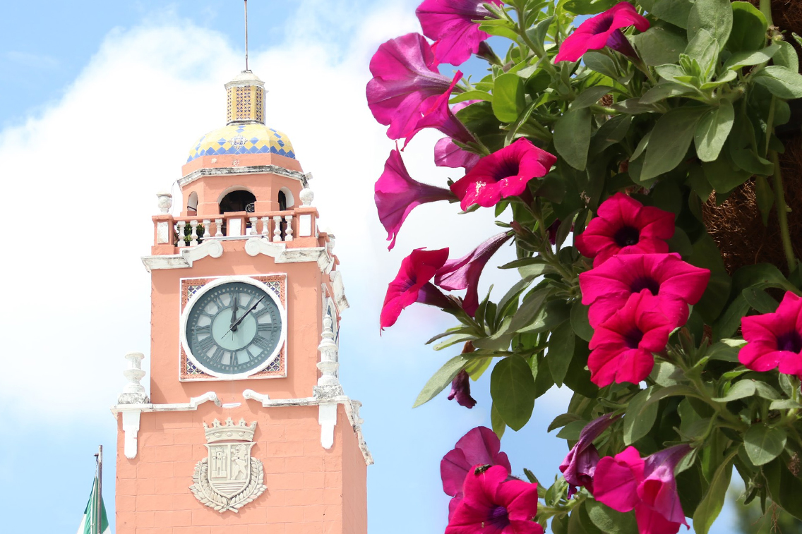 Universidad Autónoma de Yucatán