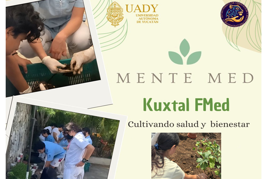 Comunicación Institucional