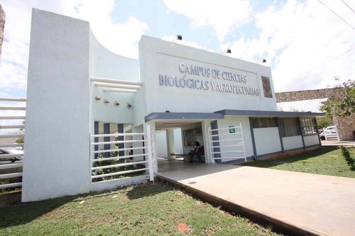 Universidad Autónoma de Yucatán