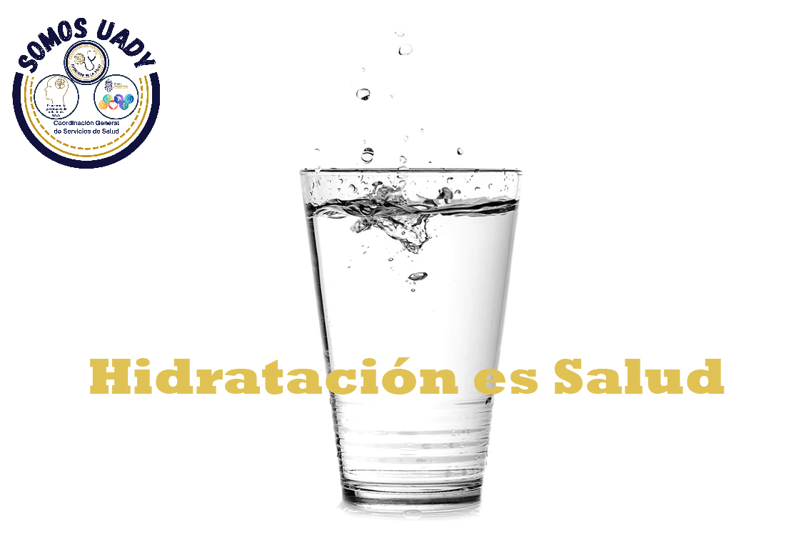 Universidad Autónoma de Yucatán