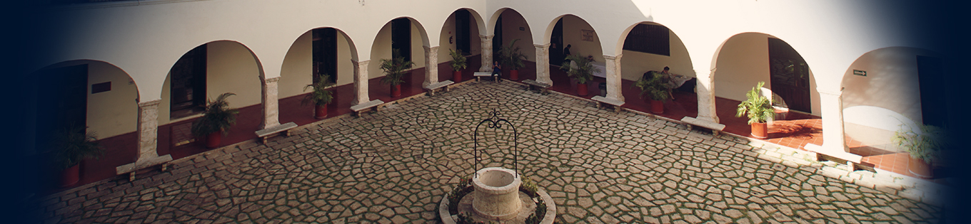 Universidad Autónoma de Yucatán